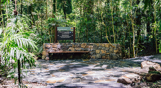 Wonga Walk Interpretive Master Plan & Rest Nodes – Dorrigo National ...